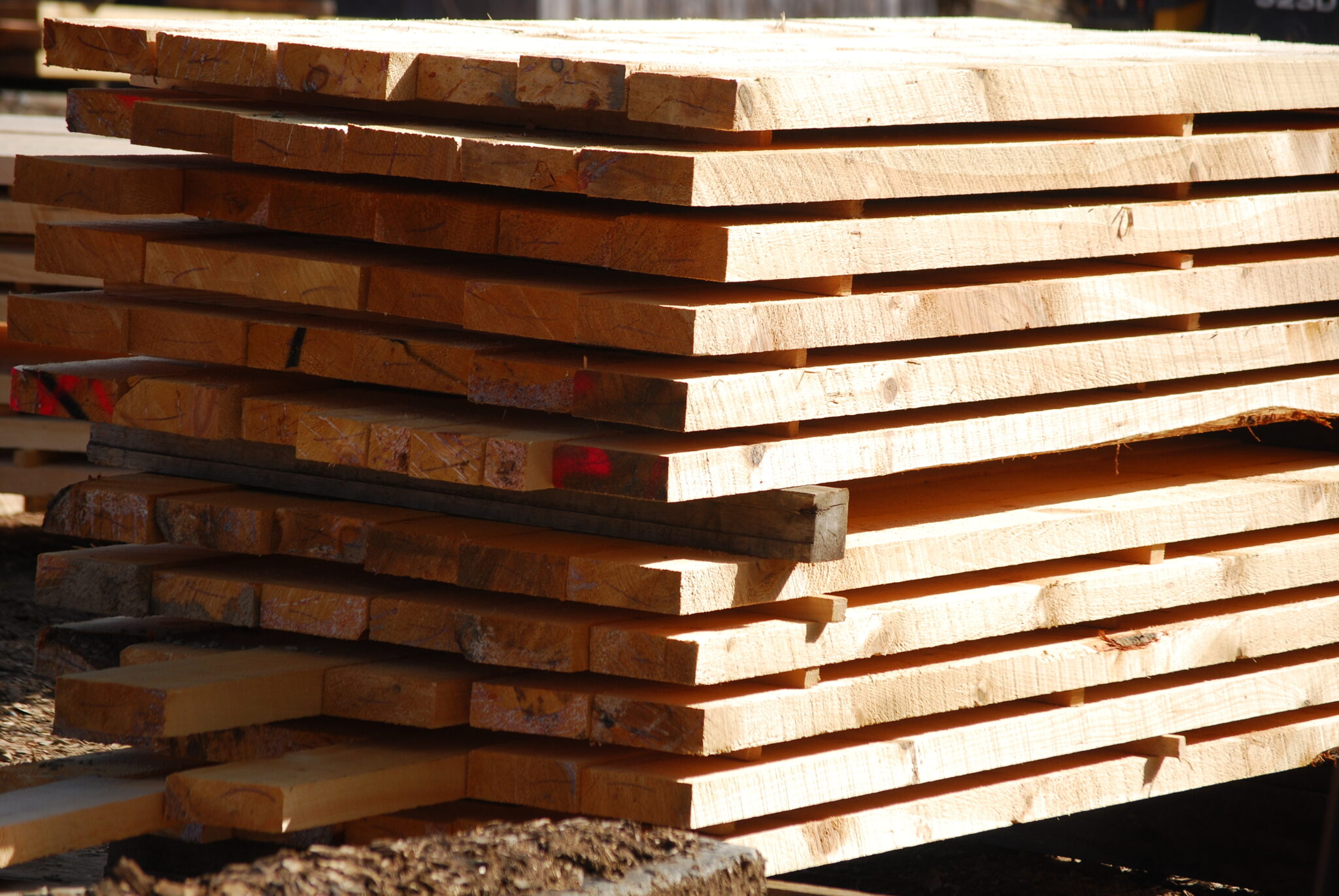 Eastern White Pine - Northeast Softwoods Sawmill in Lewisburg Pennsylvania