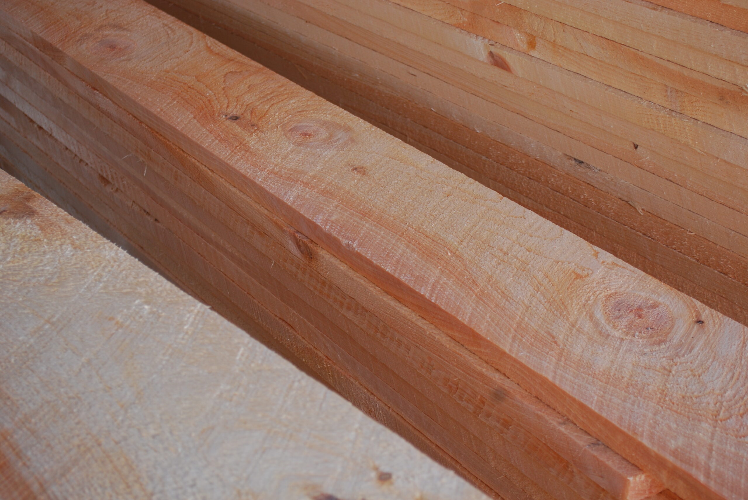 Eastern Hemlock - Northeast Softwoods Sawmill in Lewisburg Pennsylvania