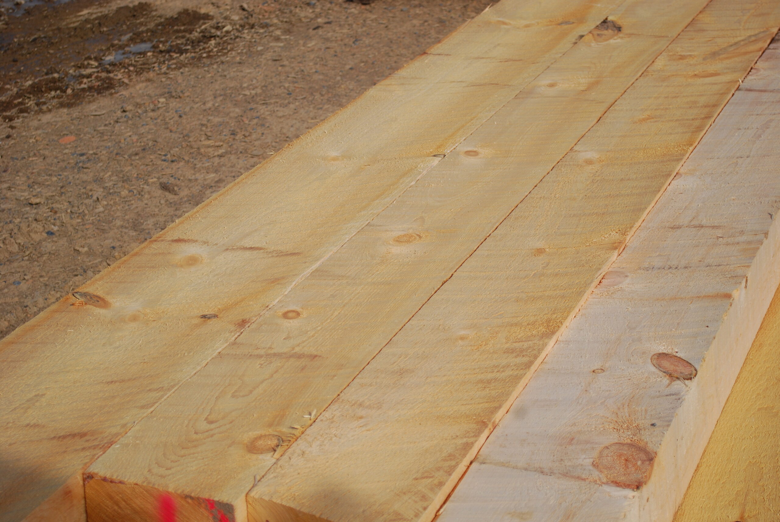 Eastern White Pine - Northeast Softwoods Sawmill in Lewisburg Pennsylvania